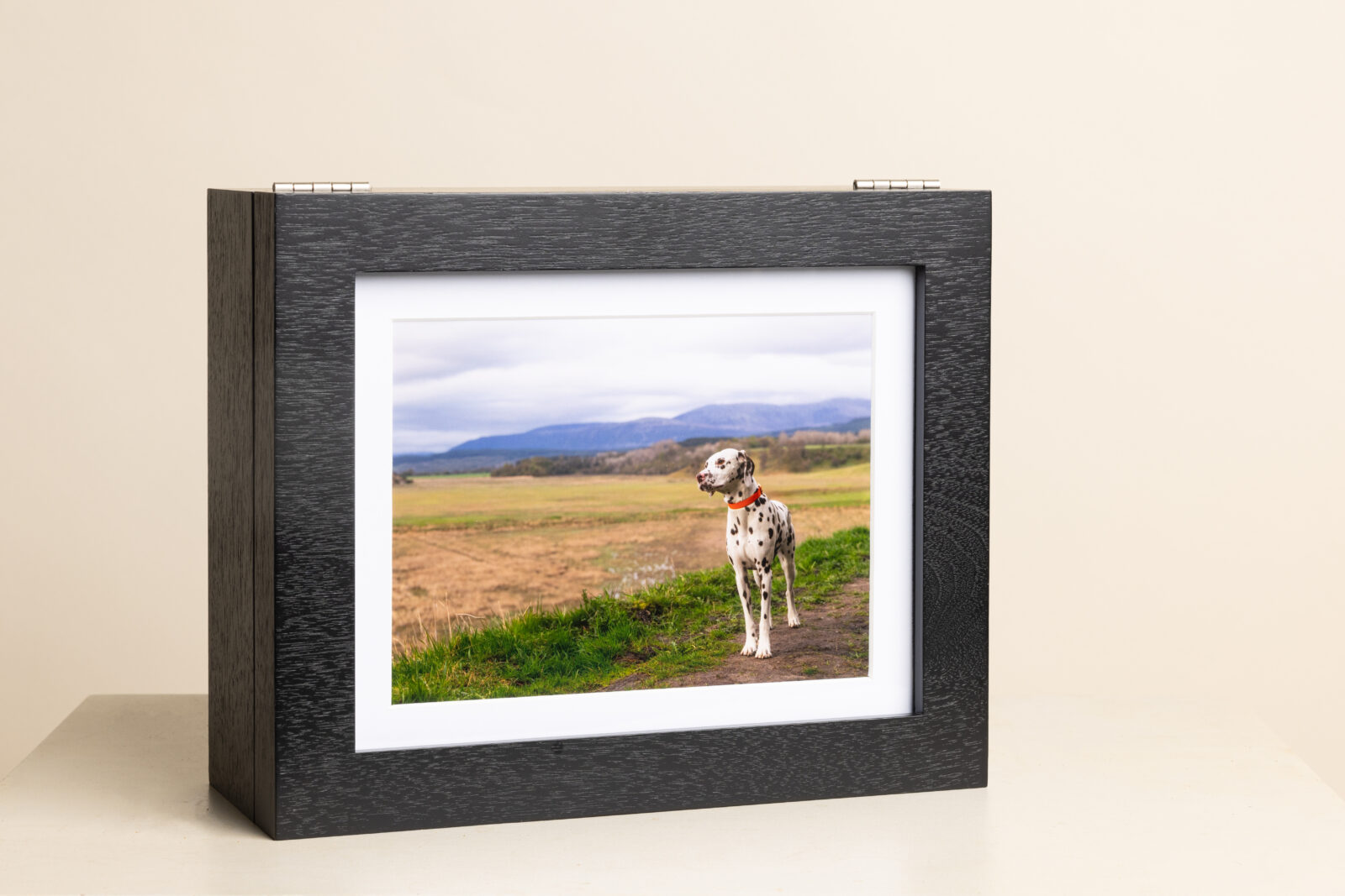 Creating a Photo Collection with a Folio Box - Robyn White Photography